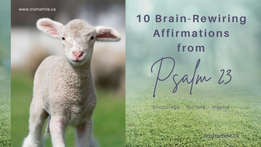 Re-wiring Your Brain with Psalm 23 - Trish White